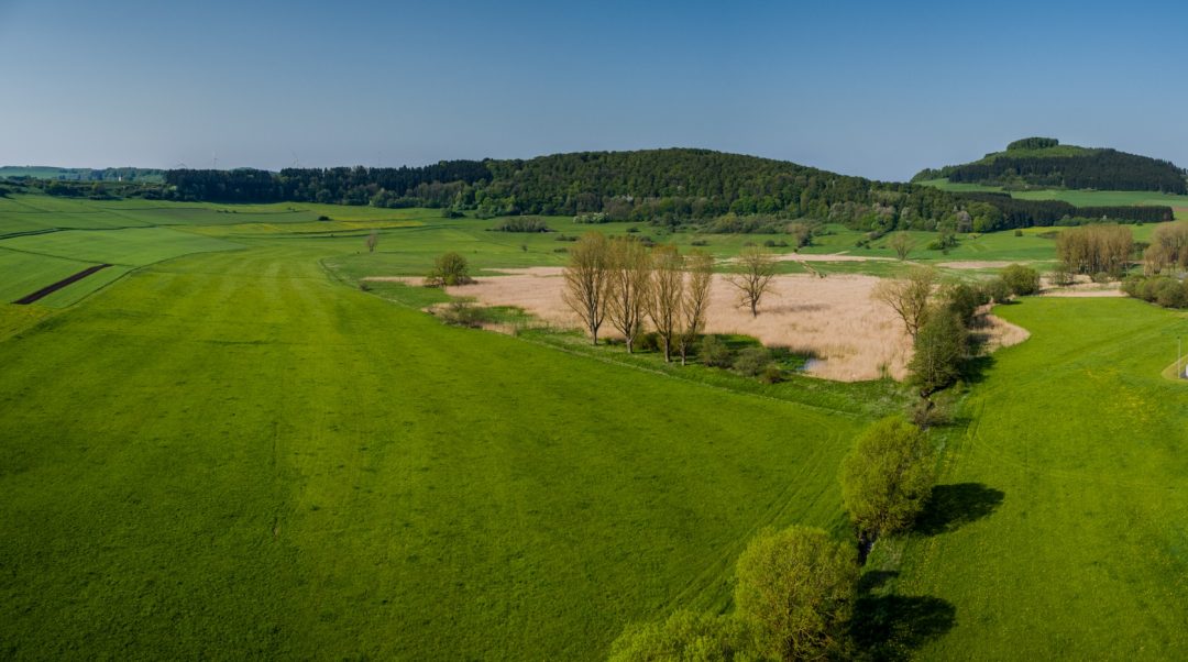 Lass es sprudeln mit Dreiser: meine Tipps für kalorienarme ...